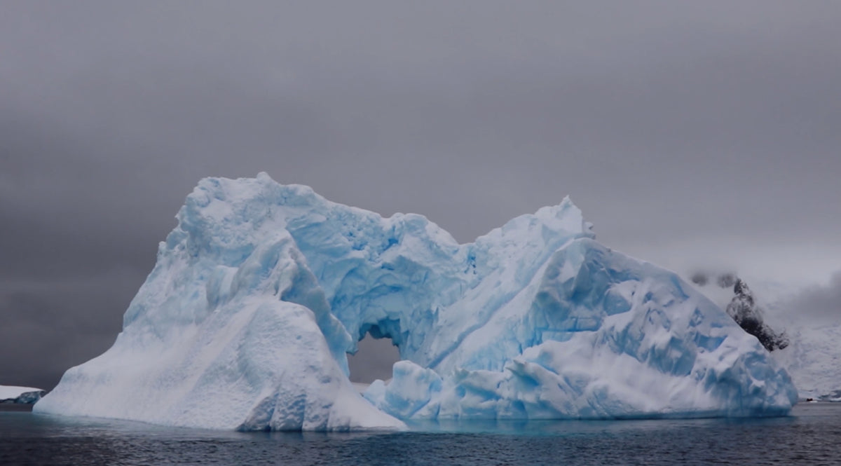 Ode To An Iceberg – ArtPlay